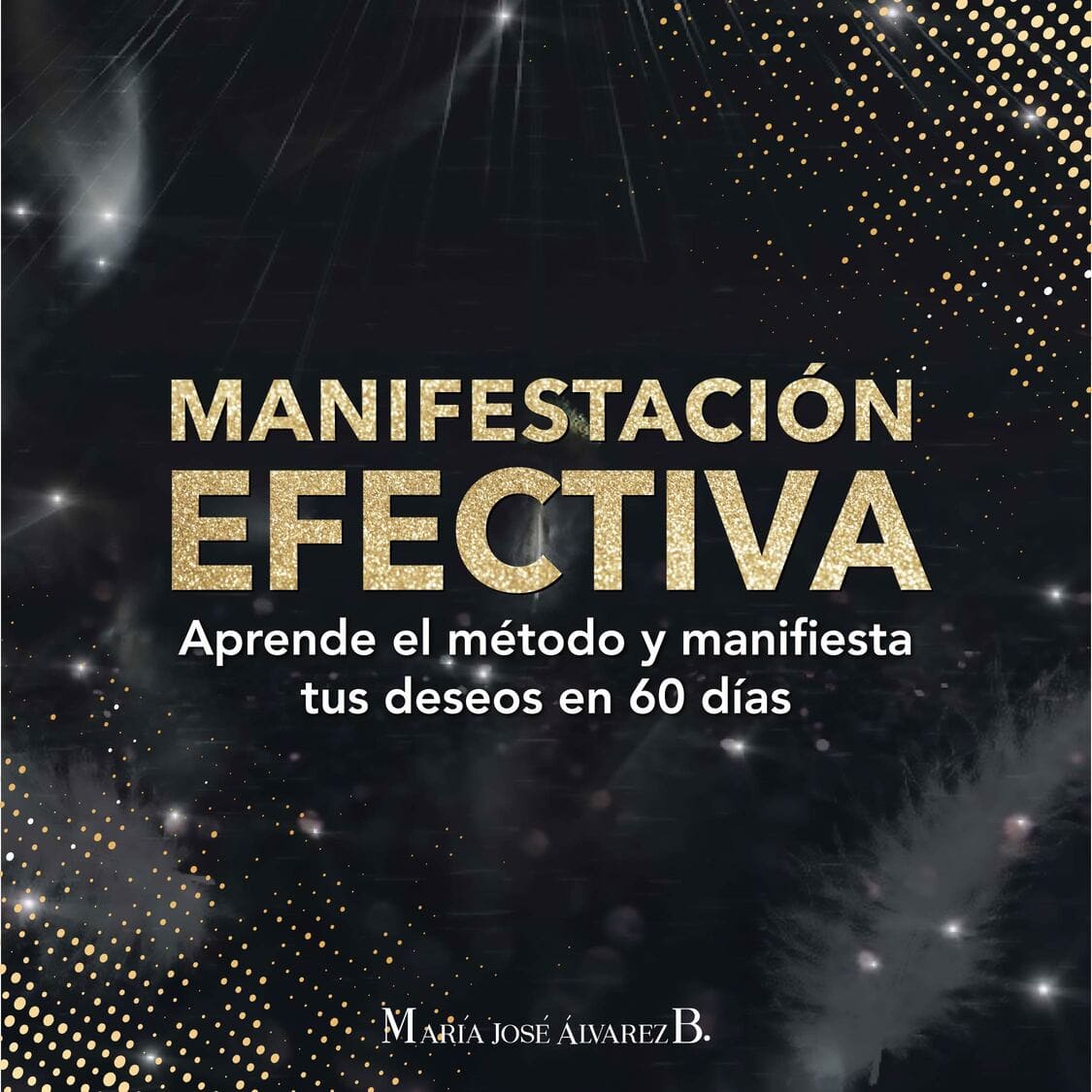 Programas – María José Álvarez B